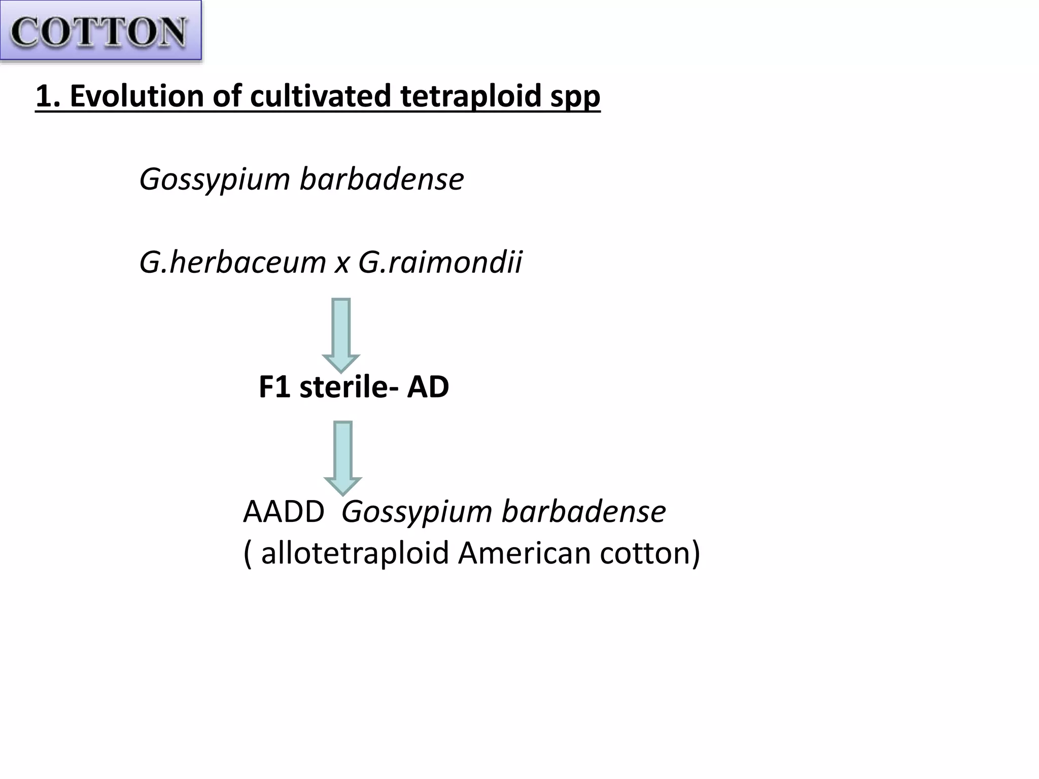 22. Polyploidy in plant breeding in crop improvement | PPT