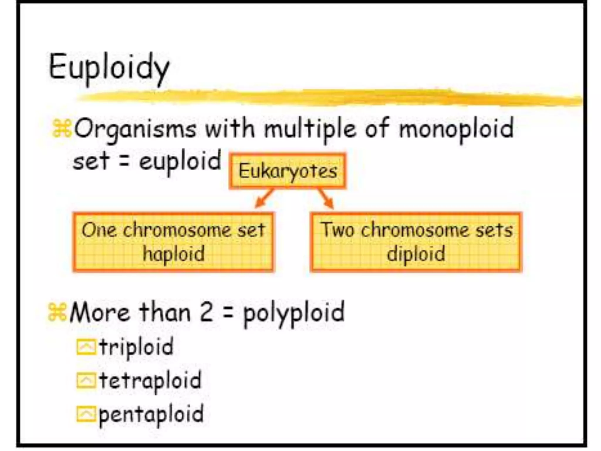 22. Polyploidy in plant breeding in crop improvement | PPT