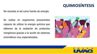 22. formas de nutrición y quimiosíntesis | PPTX