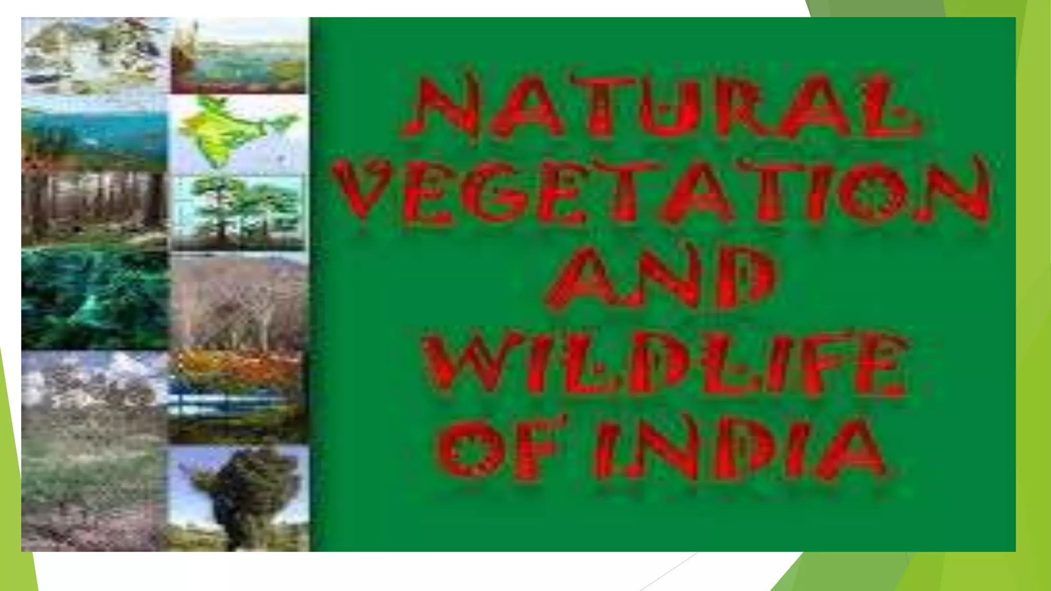 22. natural vegetation and wildlife of india | PPTX