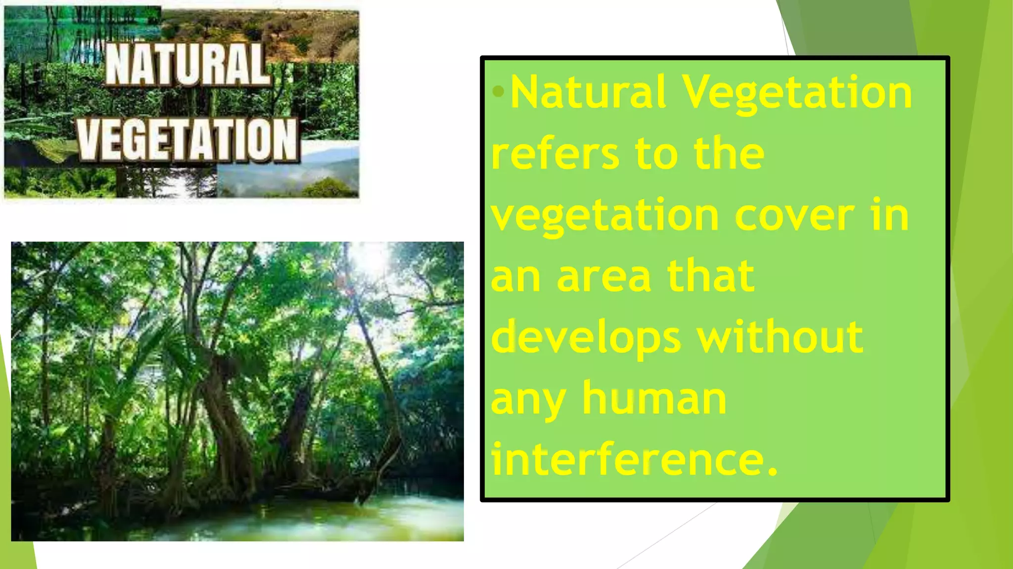 22. natural vegetation and wildlife of india | PPTX