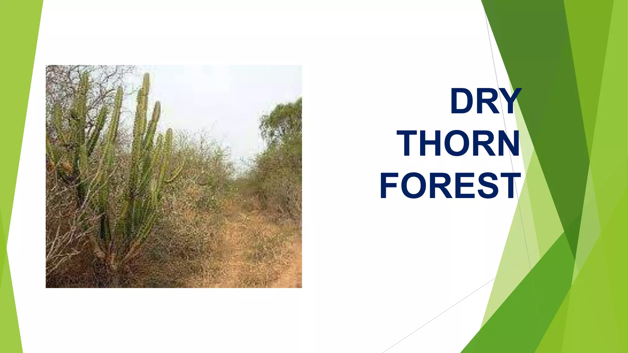 22. natural vegetation and wildlife of india | PPTX