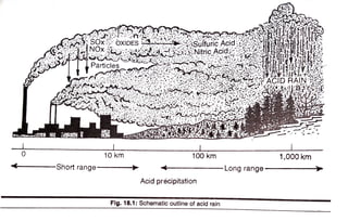 Acid Rain | PDF
