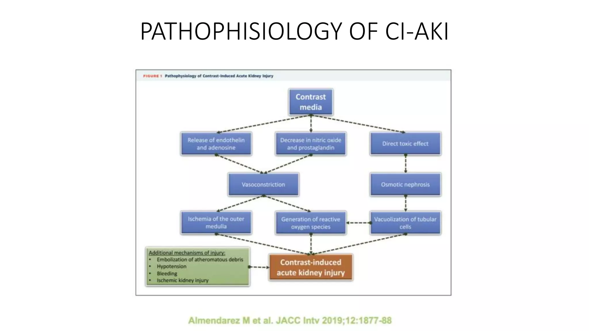 Gabriele Luigi Gasparini - Contrast-associated kidney injury ...