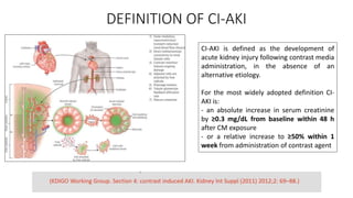 Gabriele Luigi Gasparini - Contrast-associated kidney injury ...