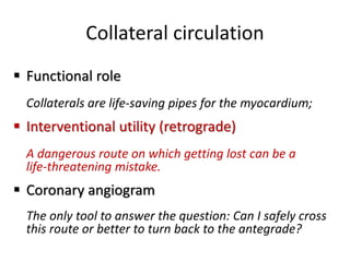 Imre Ungi: Best angiographic projection for collateral analysis | PPT