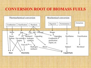 22. BIOMASS GASIFICATION.ppt