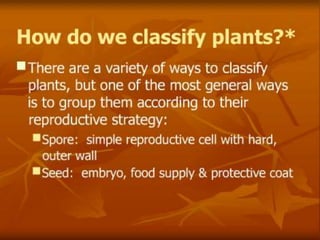 22.1_Intro to Botany.ppt