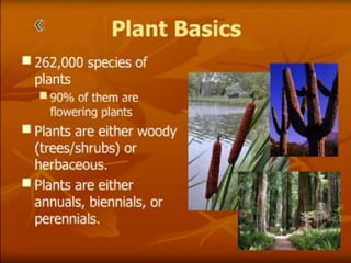 22.1_Intro to Botany.ppt