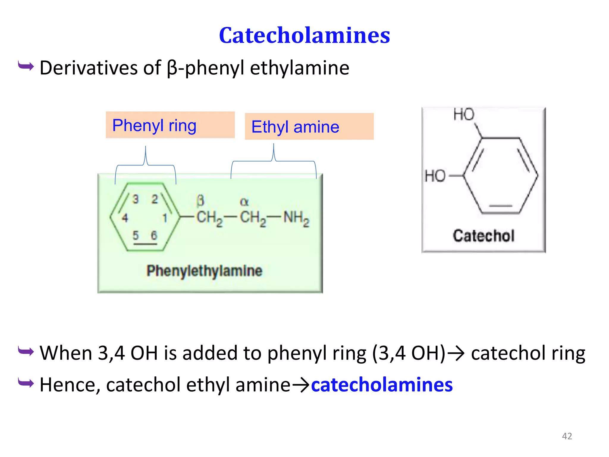 22. ANS Pharmacology.pptx