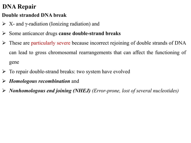 22. DNA Damage and Repair.pdf