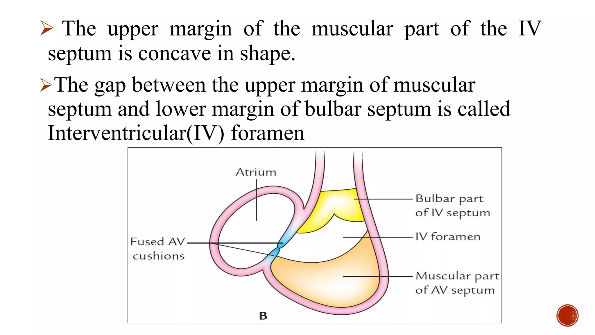 22. Development of Interatrial and Interventricular septum 2020.pdf