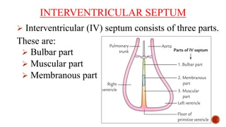 22. Development of Interatrial and Interventricular septum 2020.pdf