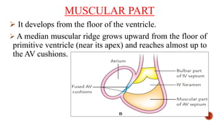 22. Development of Interatrial and Interventricular septum 2020.pdf
