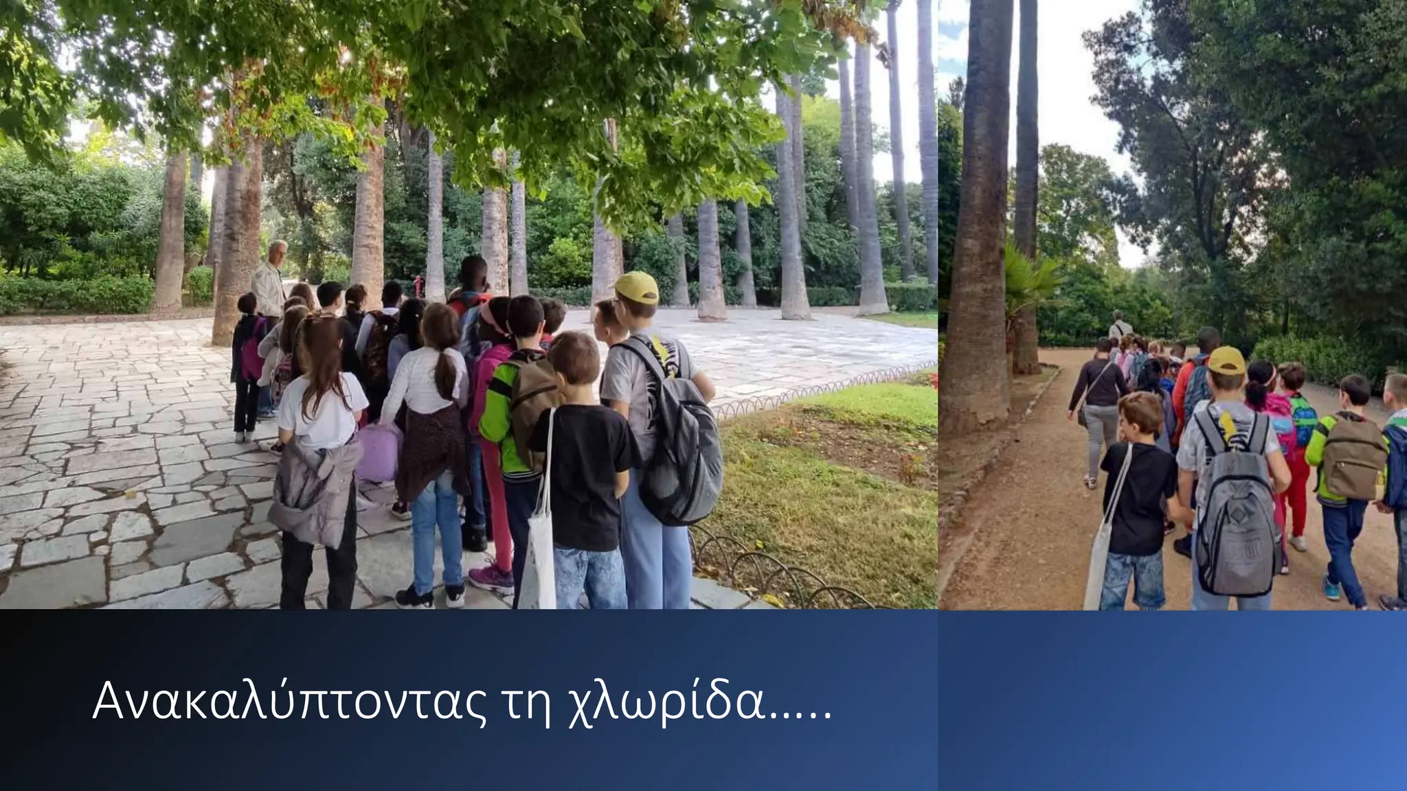 Δράσεις 22ου.pptx