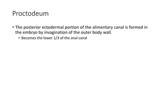 22. HINDGUT DEVNT-1.pptx