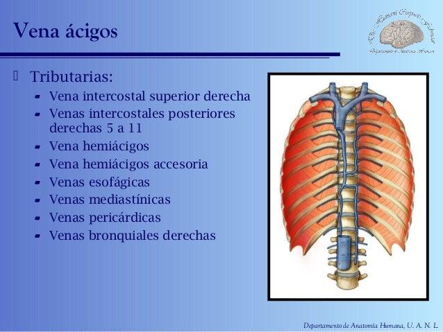22 23 trx-mediaposterior