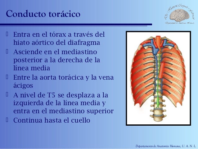 22 23 trx-mediaposterior