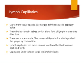 22. Lymphatic System.lymphatic system physiologu | PPT