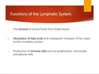 22. Lymphatic System.lymphatic system physiologu | PPT