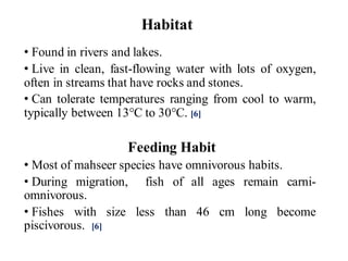 Golden Masheer (Tor putitora): Pakistan’s National Fish | PDF