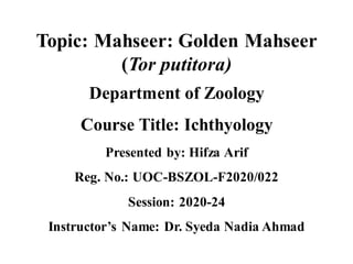 Golden Masheer (Tor putitora): Pakistan’s National Fish | PDF