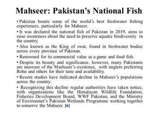 Golden Masheer (Tor putitora): Pakistan’s National Fish | PDF