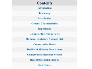 Golden Masheer (Tor putitora): Pakistan’s National Fish | PDF