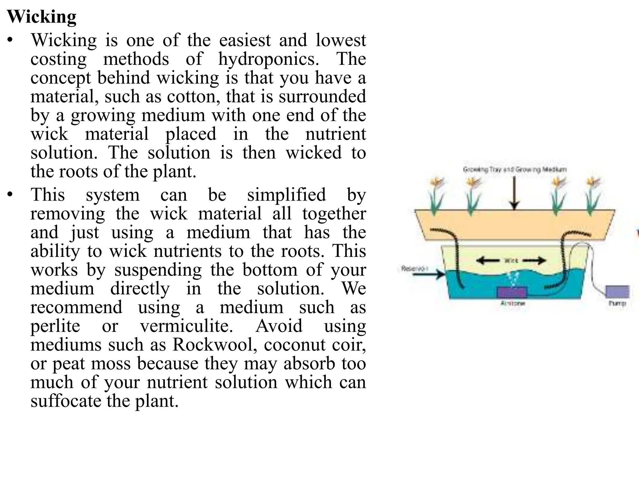 22. Hyydroponics, aeroponics, verticulture and riverbed farming.pptx