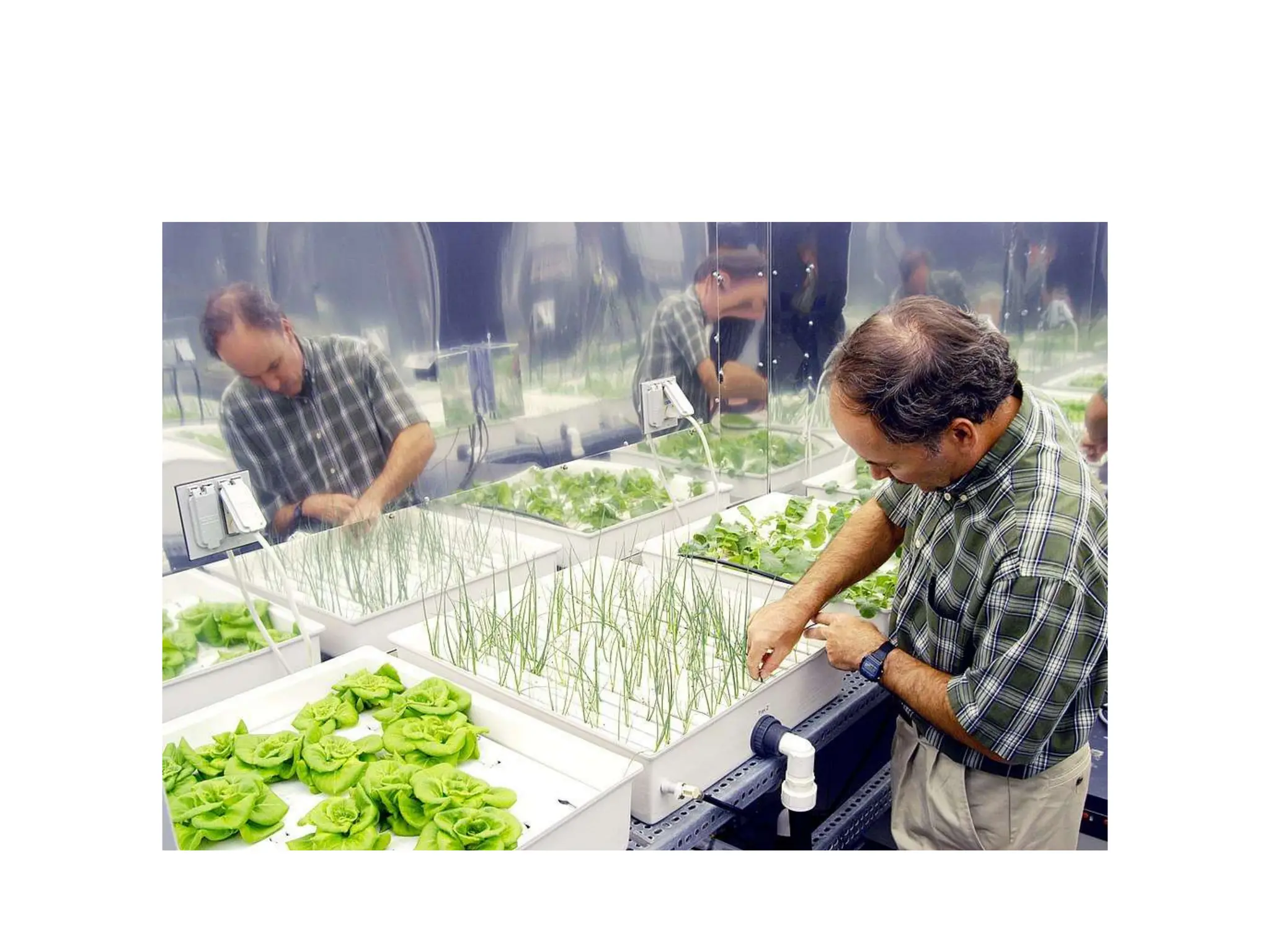 22. Hyydroponics, aeroponics, verticulture and riverbed farming.pptx