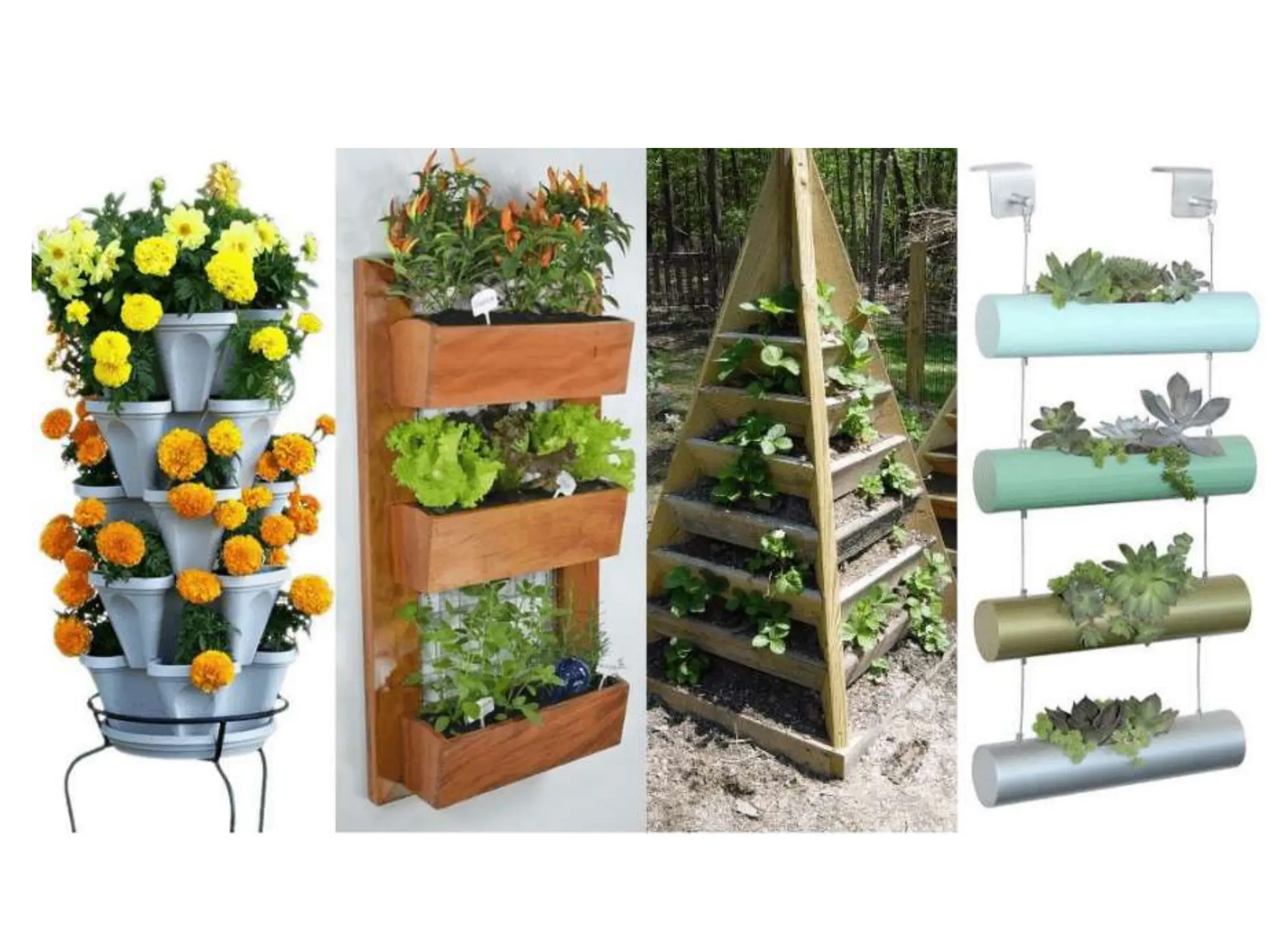 22. Hyydroponics, aeroponics, verticulture and riverbed farming.pptx