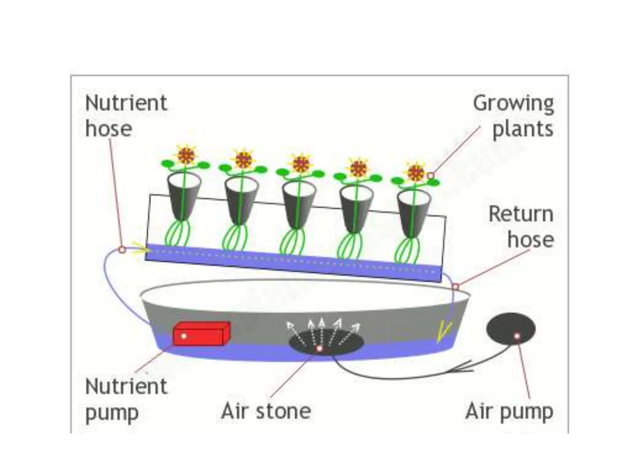 22. Hyydroponics, aeroponics, verticulture and riverbed farming.pptx