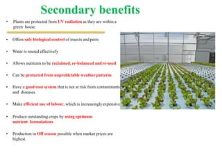 22. Hyydroponics, aeroponics, verticulture and riverbed farming.pptx