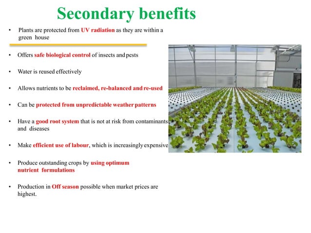 22. Hyydroponics, aeroponics, verticulture and riverbed farming.pptx