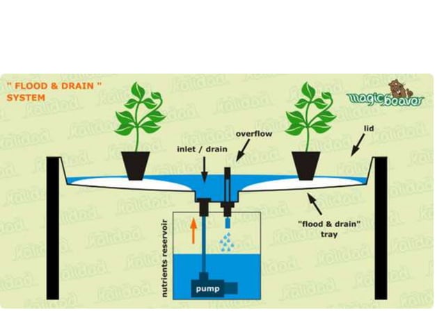 22. Hyydroponics, aeroponics, verticulture and riverbed farming.pptx