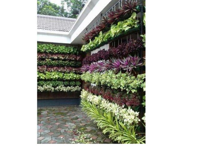 22. Hyydroponics, aeroponics, verticulture and riverbed farming.pptx