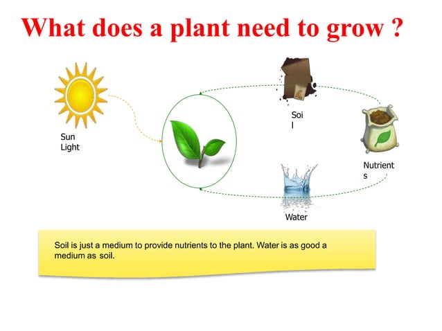 22. Hyydroponics, aeroponics, verticulture and riverbed farming.pptx