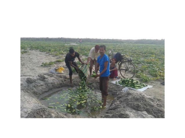 22. Hyydroponics, aeroponics, verticulture and riverbed farming.pptx