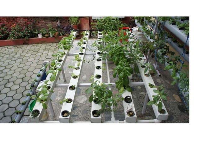 22. Hyydroponics, aeroponics, verticulture and riverbed farming.pptx