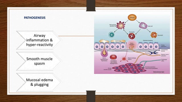 22.07.2019 ACUTE SEVERE ASTHMA copy.pptx
