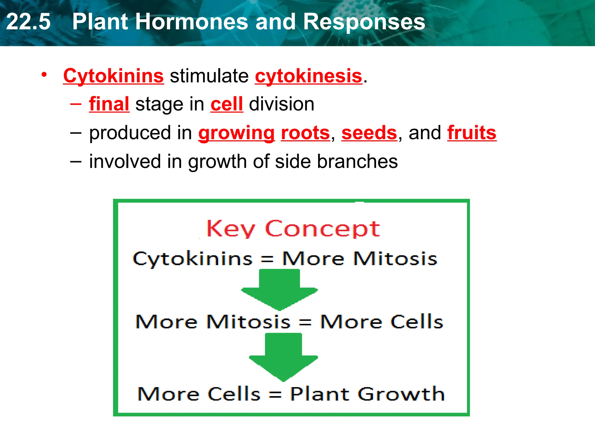 22.5 Plant Hormones.ppt yang disesuaikan dengan | PPT | Endocrine and ...