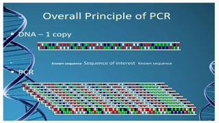 DPT - Biochemistry & Genetics - II Polymerase Chain Reaction | PPTX