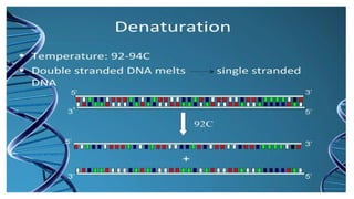 DPT - Biochemistry & Genetics - II Polymerase Chain Reaction | PPT