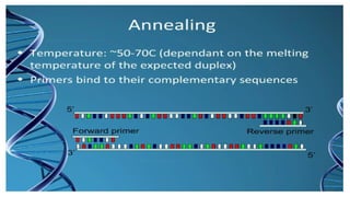 DPT - Biochemistry & Genetics - II Polymerase Chain Reaction | PPT