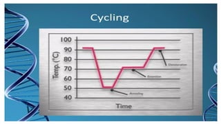 DPT - Biochemistry & Genetics - II Polymerase Chain Reaction | PPTX
