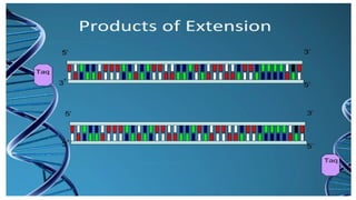 DPT - Biochemistry & Genetics - II Polymerase Chain Reaction | PPTX