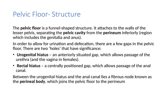 PELVC Floor and Girdle with muscles.pptx