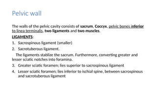 PELVC Floor and Girdle with muscles.pptx