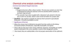 Comprehensive Urinalysis: Collection, Physical and Chemical Examination ...
