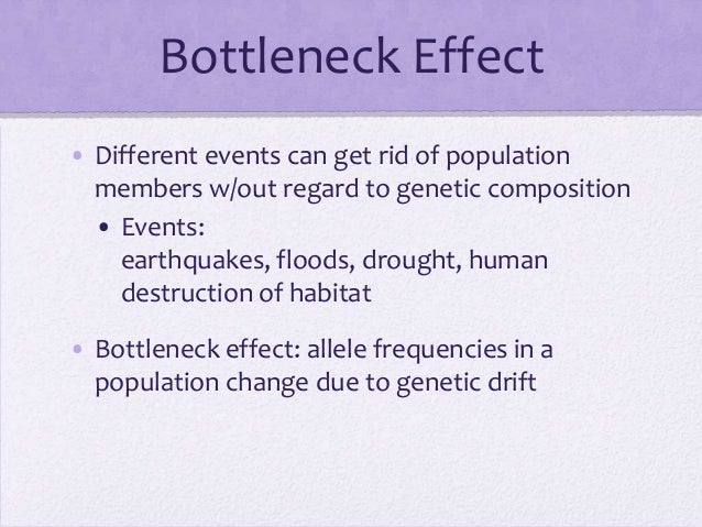 Bottleneck Effect Definition Example Video Lesson